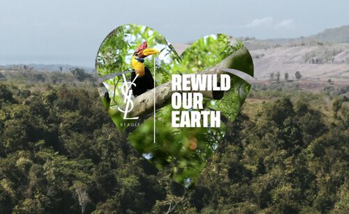 Protéger la terre avec Rewild our earth - YSL Beauté Canada